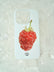 🍽️ A Raspberry | iPhone Case | Three Fleas Exclusive